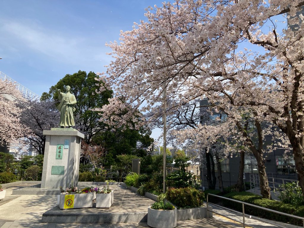 桜 | えちご妙高会ブログ